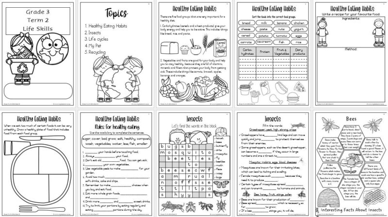 Grade 3 Life Skills Activity Book 2 - My Klaskamer
