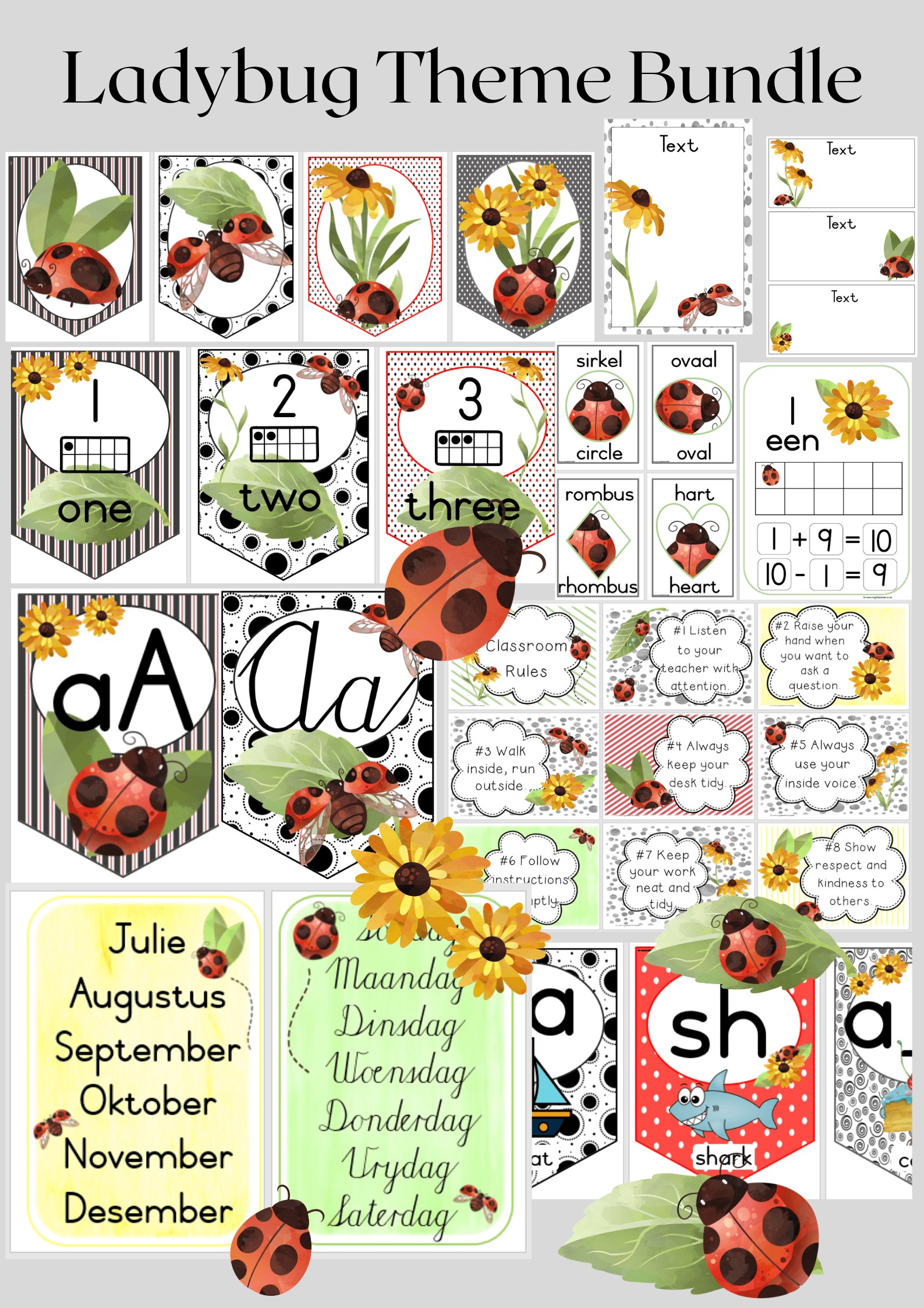 Ladybug Classroom Theme - My Klaskamer